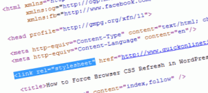 How to Force CSS Refresh for WordPress Blogs - QOT